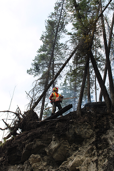 Mount Docking Is Now A Wildfire Of Note Columbia Valley Cranbrook